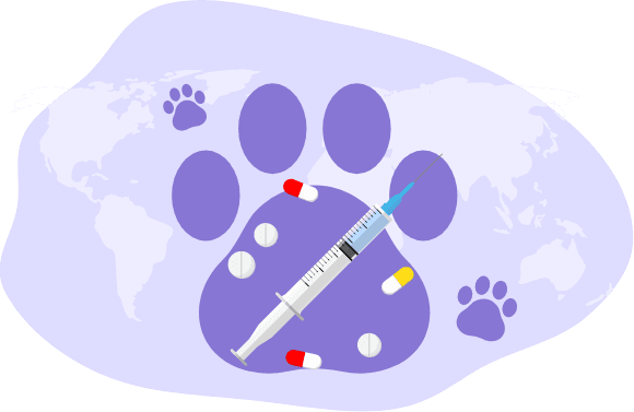 Common Veterinary Diseases | Medicine, Symptom & Treatment | Vet Tech