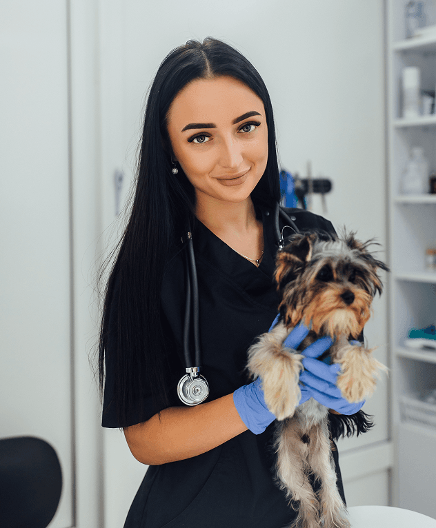 Find & Hire Veterinary Professionals | Pago (Free Job Posts)