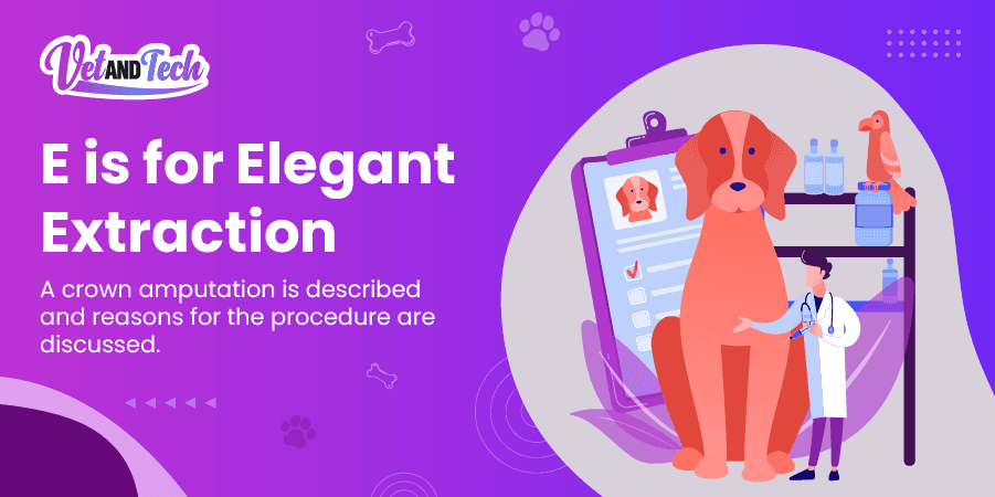 E is for Elegant Extraction | By Jan Bellows | Vet and Tech