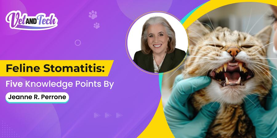 Feline Stomatitis: Five Knowledge Points By Jeanne Perrone