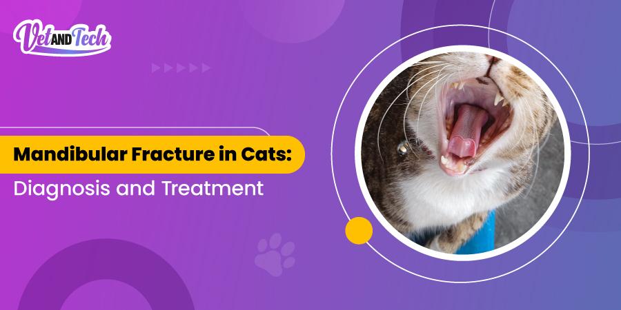 How To Treat Mandibular Fracture In Cats - Vet and Tech