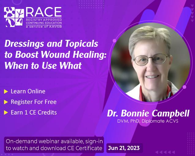 Moisture Retentive Dressings and Topical Agents to Accelerate Wound Healing