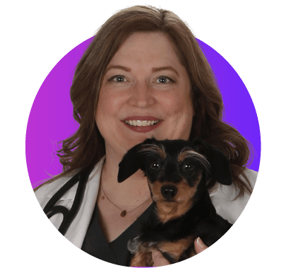 Veterinary Webinars | Vet Education Webinars | Vet and Tech